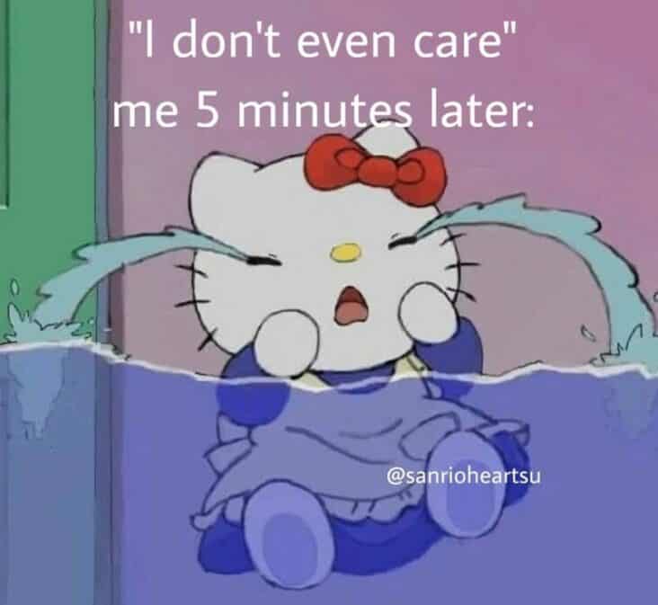 40 Hello Kitty Memes That Are Cuter Than You Can Handle
