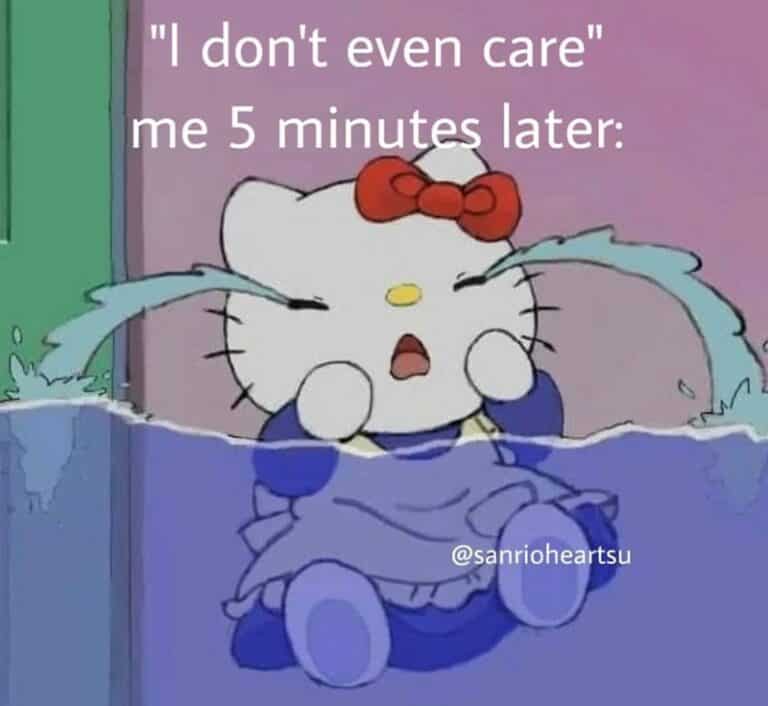 40 Hello Kitty Memes That Are Cuter Than You Can Handle