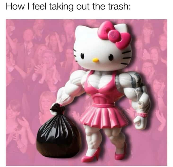 40 Hello Kitty Memes That Are Cuter Than You Can Handle