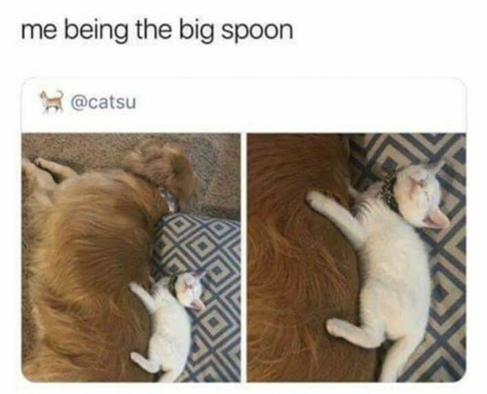 36 Late-Night Memes For When You’re Up At 3 AM Questioning Everything