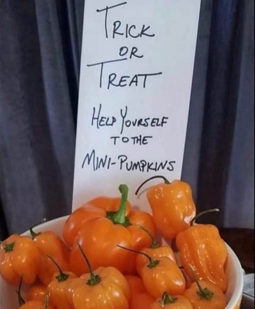 32 Late Night Memes That Are Too Hilarious To Keep To Yourself