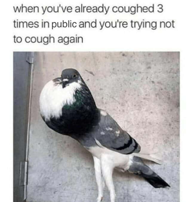 34 Memes About Being Sick That'll Have You Laughing Through The Sniffles