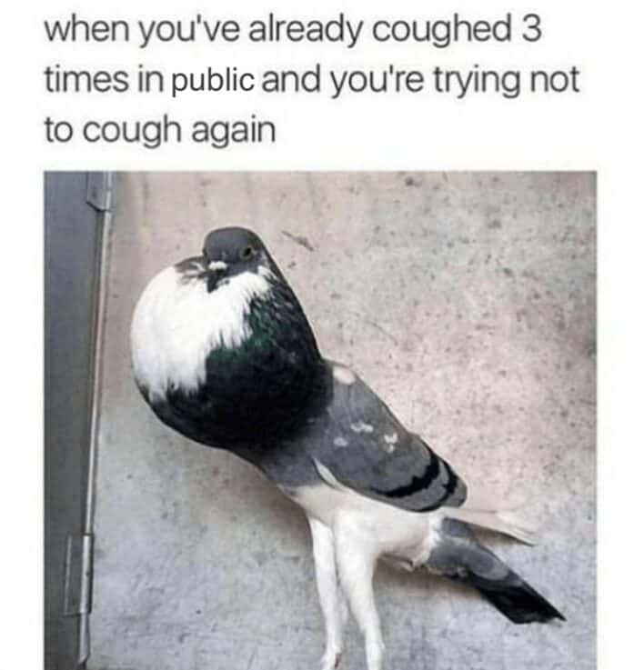 34 Memes About Being Sick That'll Have You Laughing Through The Sniffles