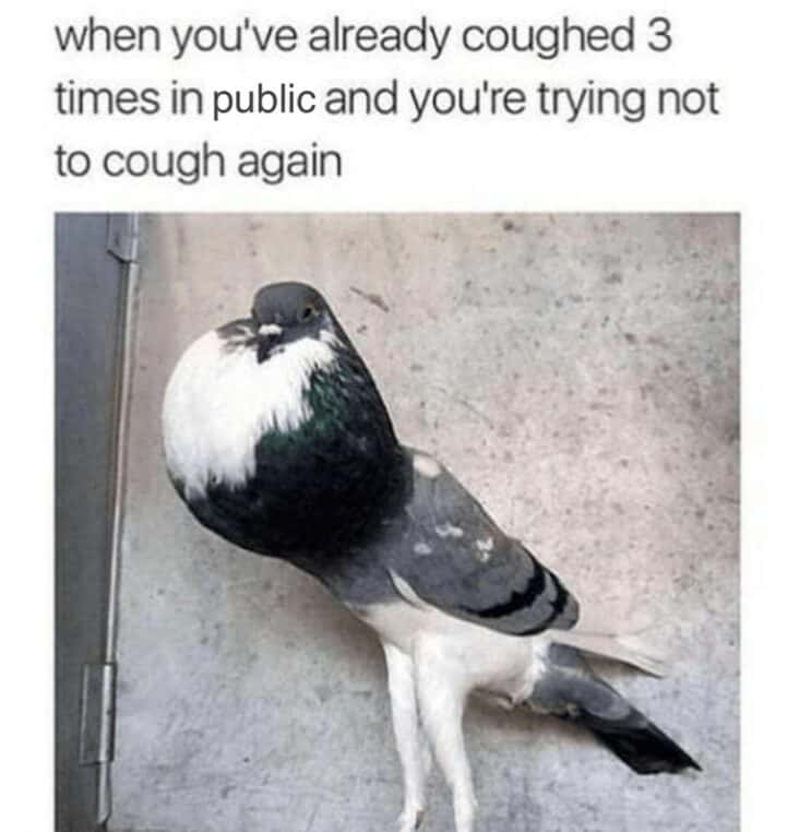 34 Memes About Being Sick That'll Have You Laughing Through The Sniffles