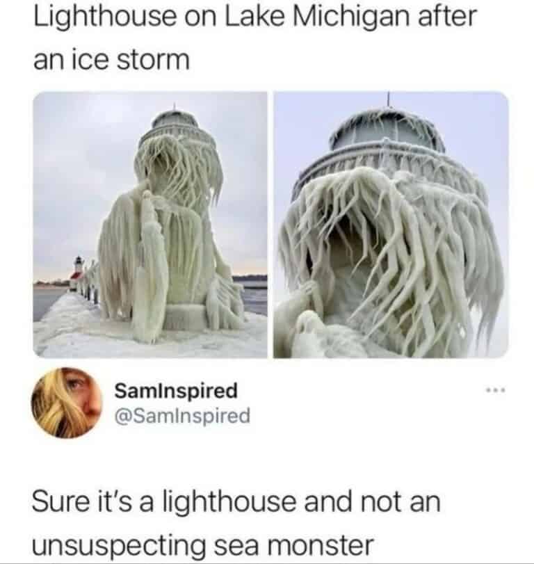 36 Memes That Have Your Back