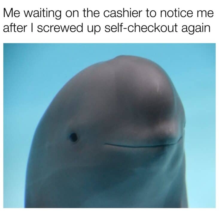 36 Memes That Have Your Back
