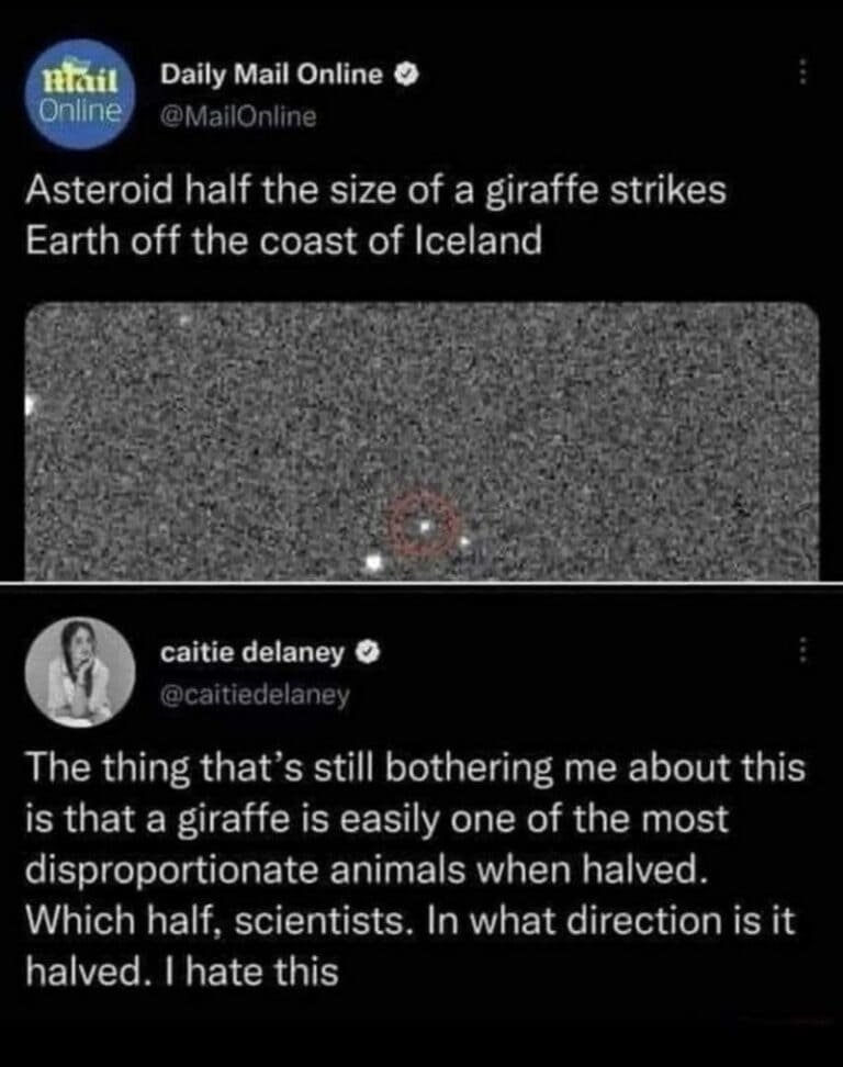 36 Memes That Have Your Back
