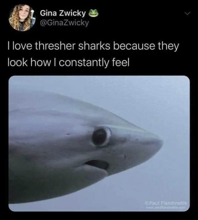 36 Memes That Have Your Back
