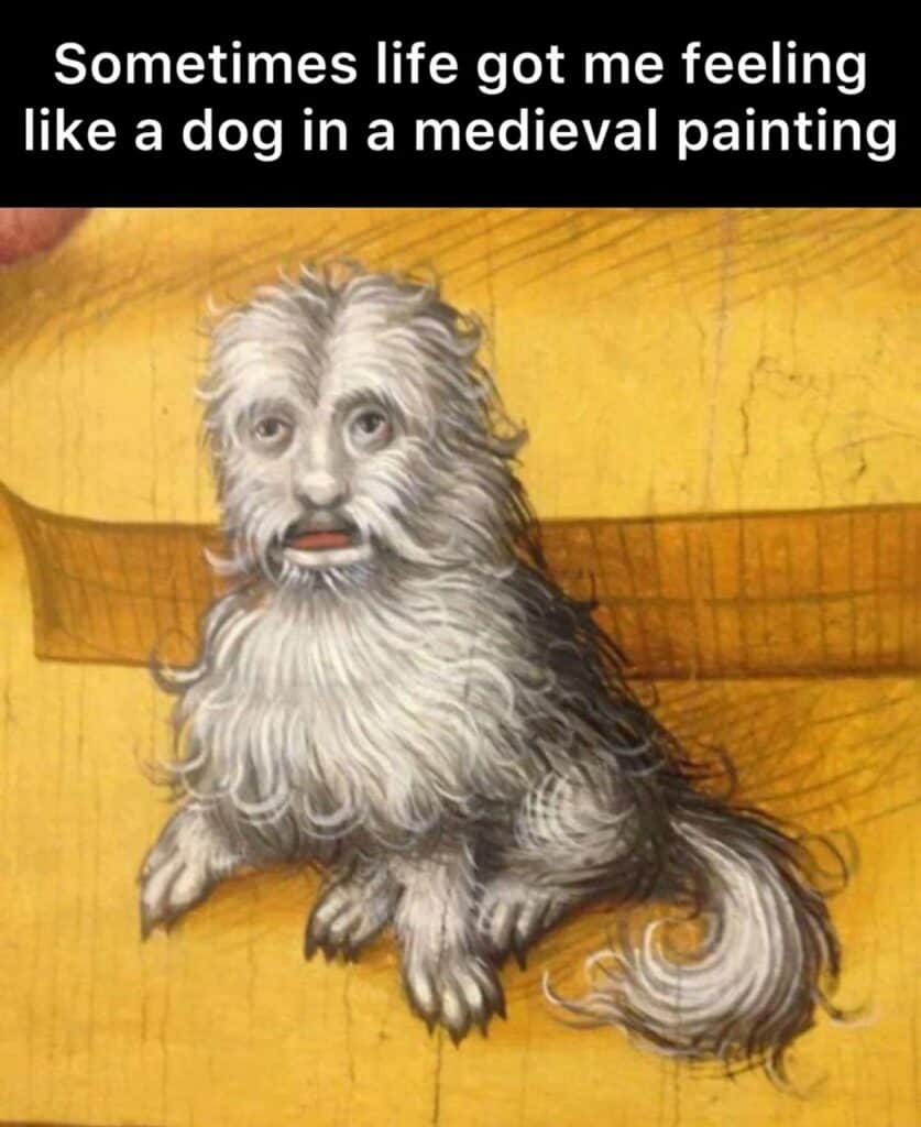 45 Funny And Random Memes To Tuck You In Tonight