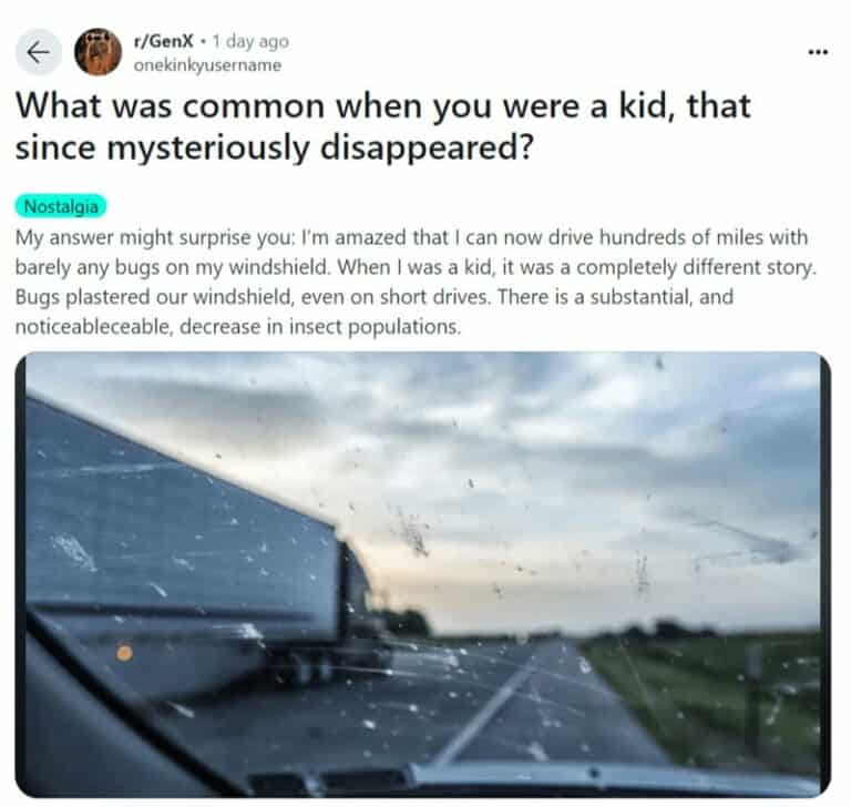 20+ Nostalgic Gen X Memories That Have Since Mysteriously Disappeared