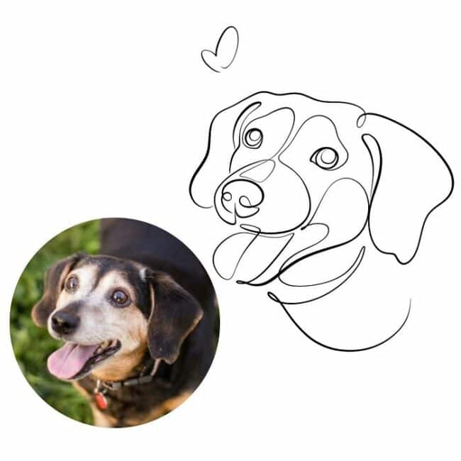 This Artist Transforms Photos Into Beautiful Drawings Using Just One Line