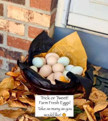 "One Per Child": 30 Hilarious Times People Left Out Anything But Candy ...