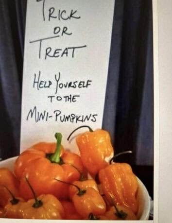 "One Per Child": 30 Hilarious Times People Left Out Anything But Candy ...