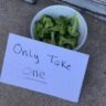 "One Per Child": 30 Hilarious Times People Left Out Anything But Candy ...