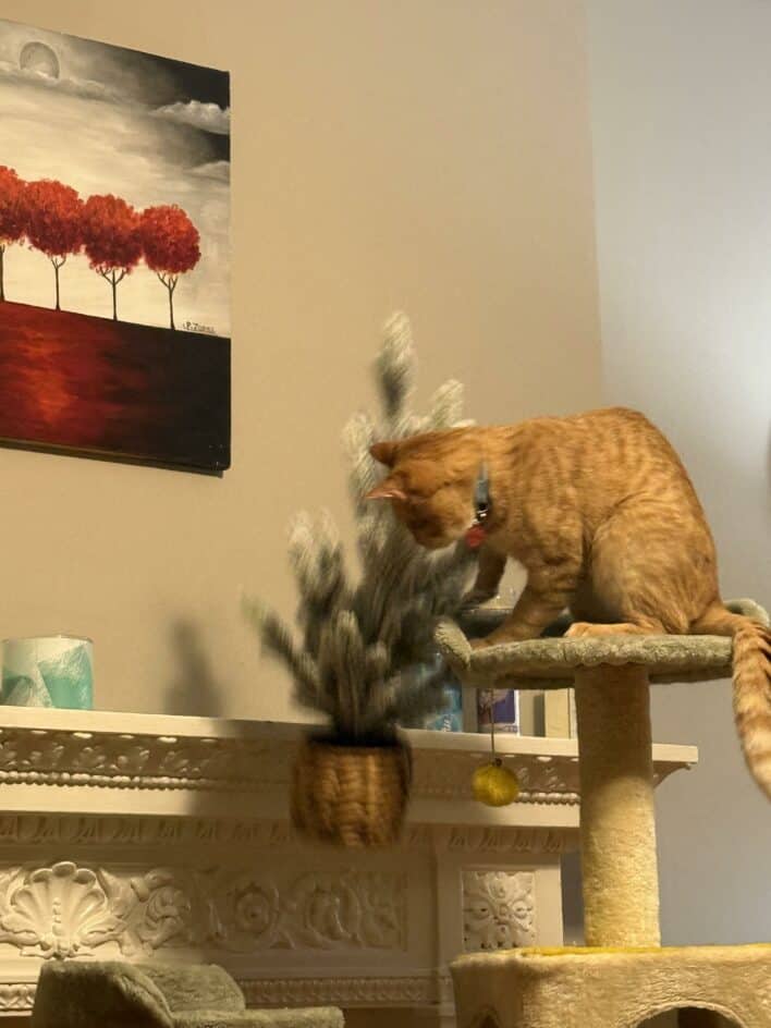 50 Perfectly Timed Photos That'll Glitch Your Brain Out For A Second