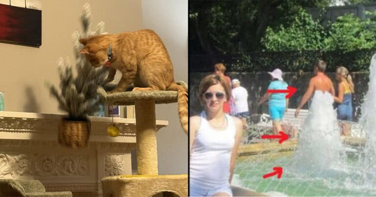 50 Perfectly Timed Photos That'll Glitch Your Brain Out For A Second