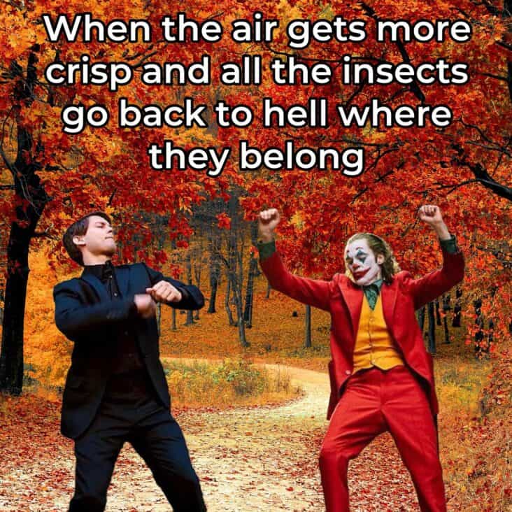 37 Random And Funny Memes For That Late-Night Scroll