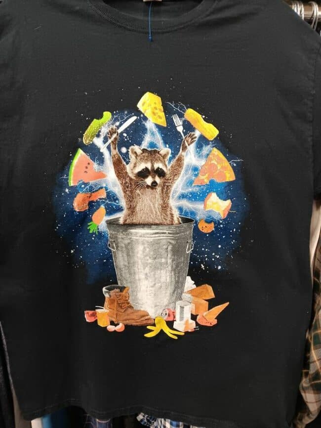 40 Hilariously Weird Thrift Store Finds Shoppers Couldn't Help But Take ...