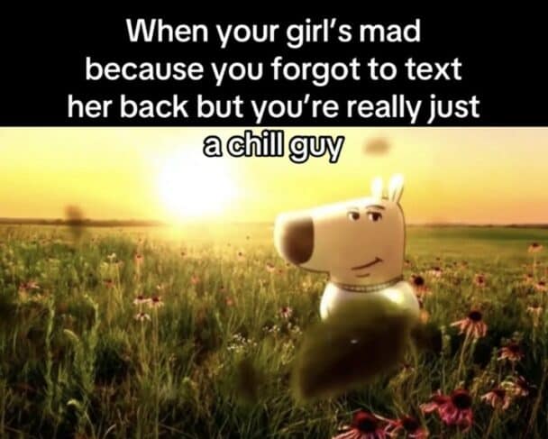 What's Up With The New "Chill Guy" Meme And Why Is It Everywhere? (24 Pics)