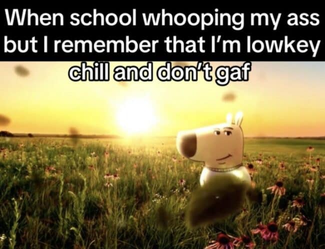 What's Up With The New "Chill Guy" Meme And Why Is It Everywhere? (24 Pics)