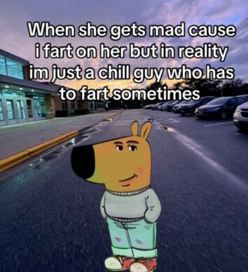 What's Up With The New "Chill Guy" Meme And Why Is It Everywhere? (24 Pics)