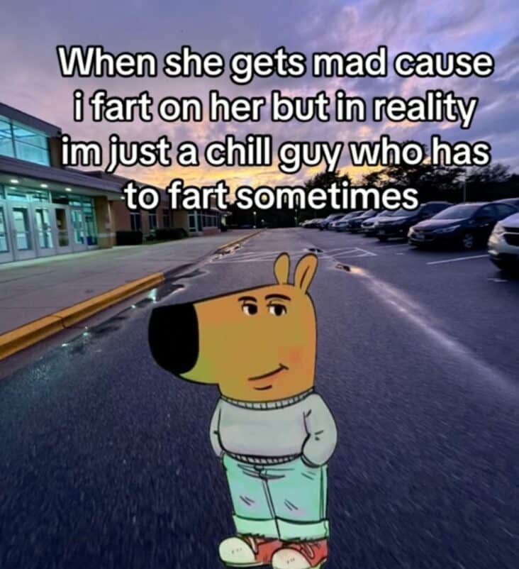 What's Up With The New "Chill Guy" Meme And Why Is It Everywhere? (24 Pics)