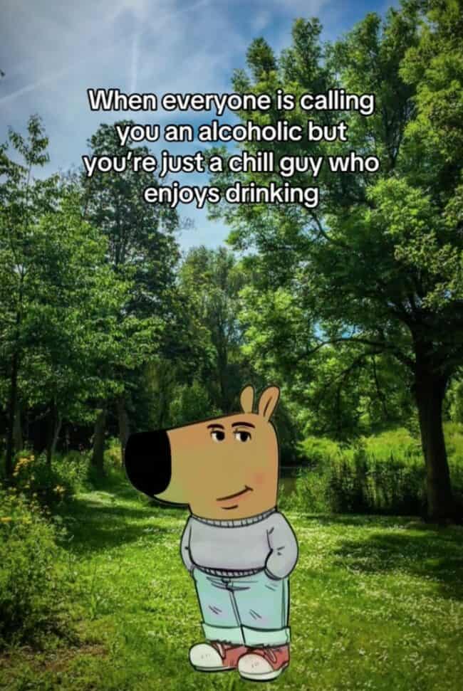 What's Up With The New "Chill Guy" Meme And Why Is It Everywhere? (24 Pics)