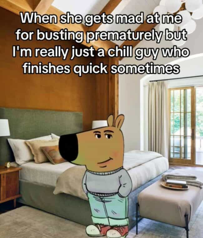 What's Up With The New "Chill Guy" Meme And Why Is It Everywhere? (24 Pics)