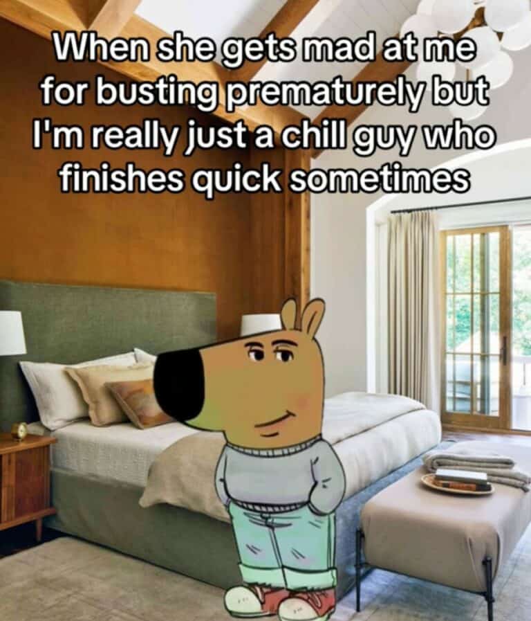 What's Up With The New "Chill Guy" Meme And Why Is It Everywhere? (24 Pics)