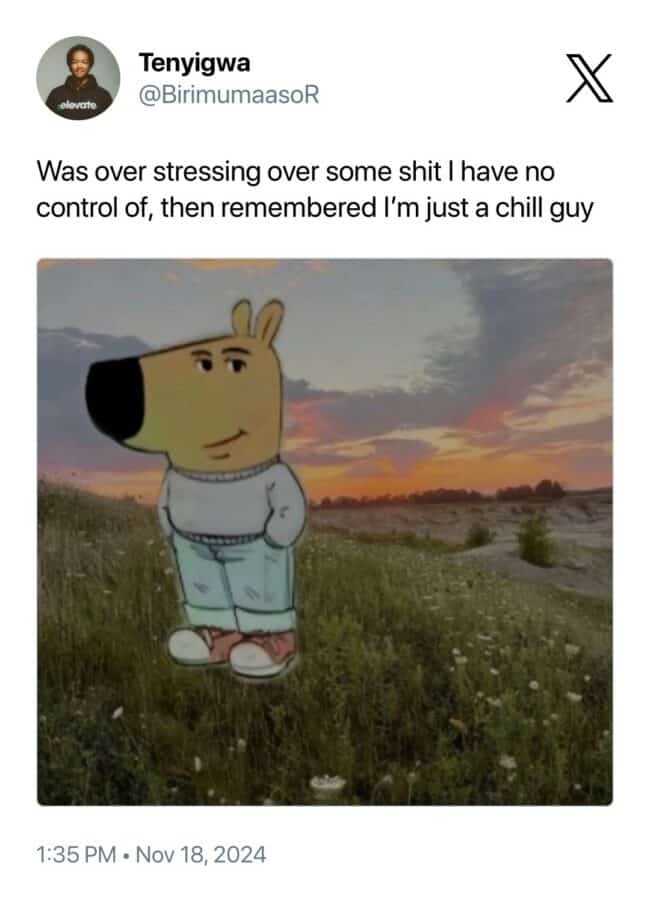 What's Up With The New "Chill Guy" Meme And Why Is It Everywhere? (24 Pics)