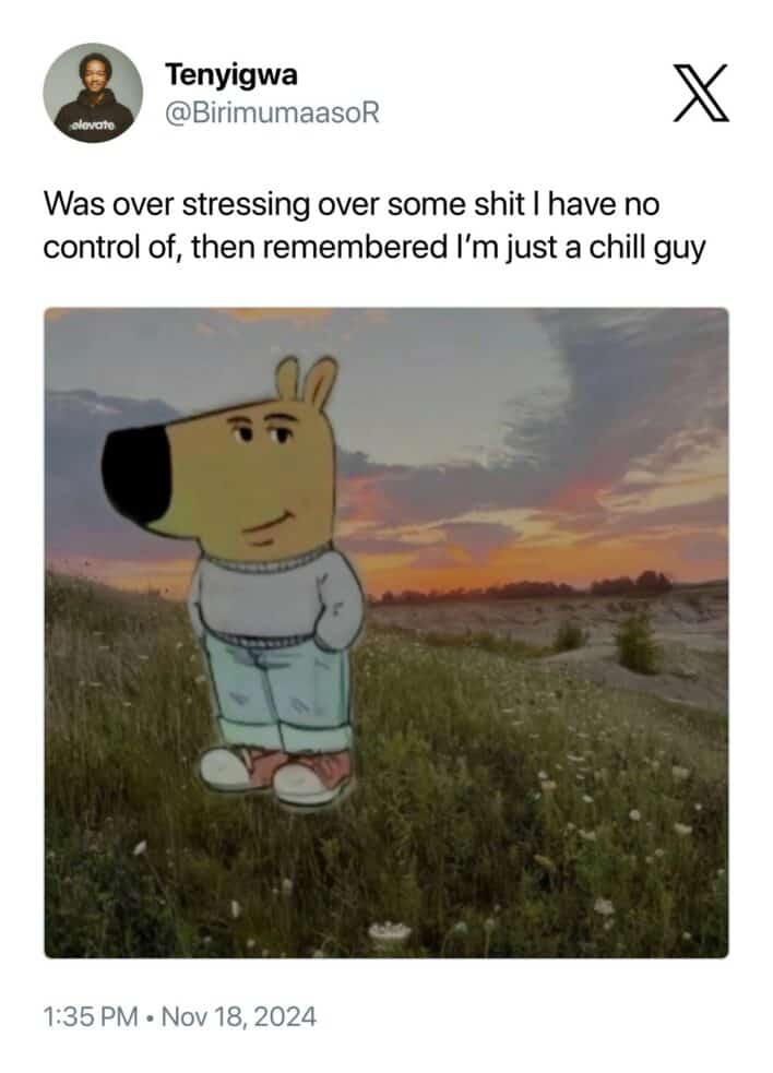 What's Up With The New "Chill Guy" Meme And Why Is It Everywhere? (24 Pics)