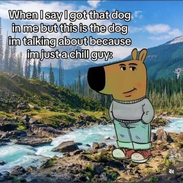 What's Up With The New "Chill Guy" Meme And Why Is It Everywhere? (24 Pics)