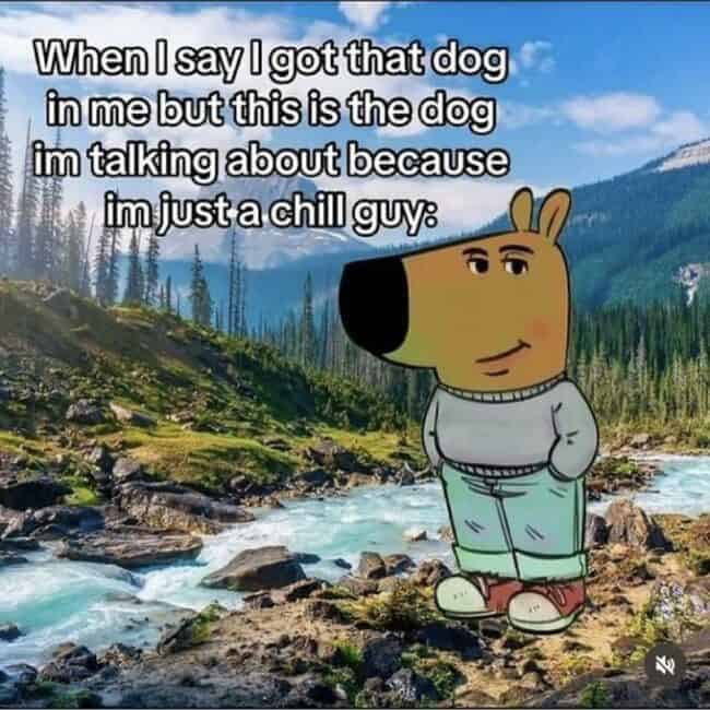 What's Up With The New "Chill Guy" Meme And Why Is It Everywhere? (24 Pics)
