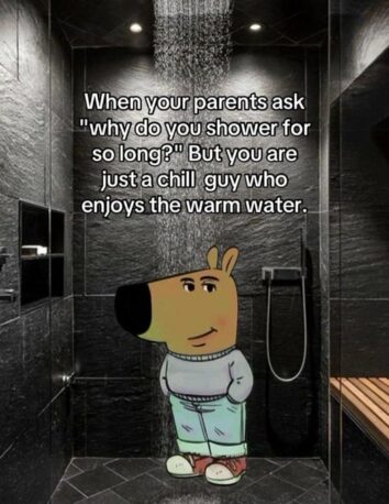 What's Up With The New "Chill Guy" Meme And Why Is It Everywhere? (24 Pics)