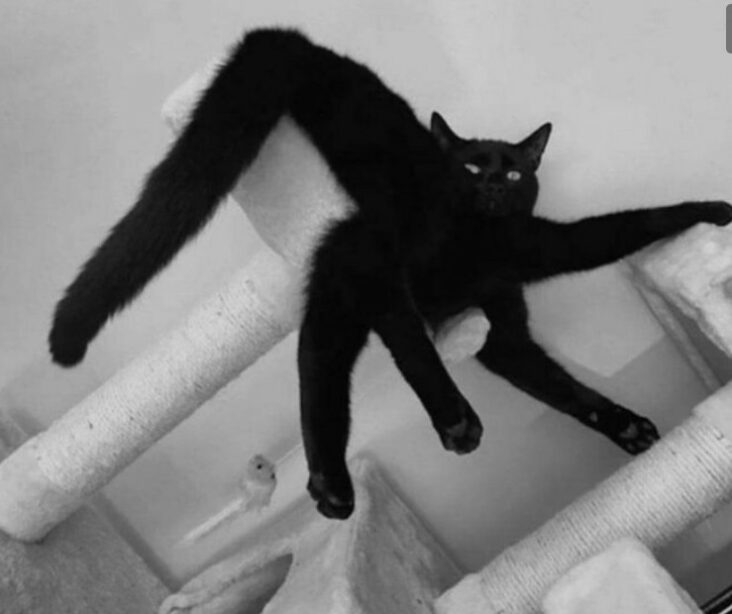 "Tricking The Eyes" — 40 Bizarre Photos Taken From Confusing Perspectives