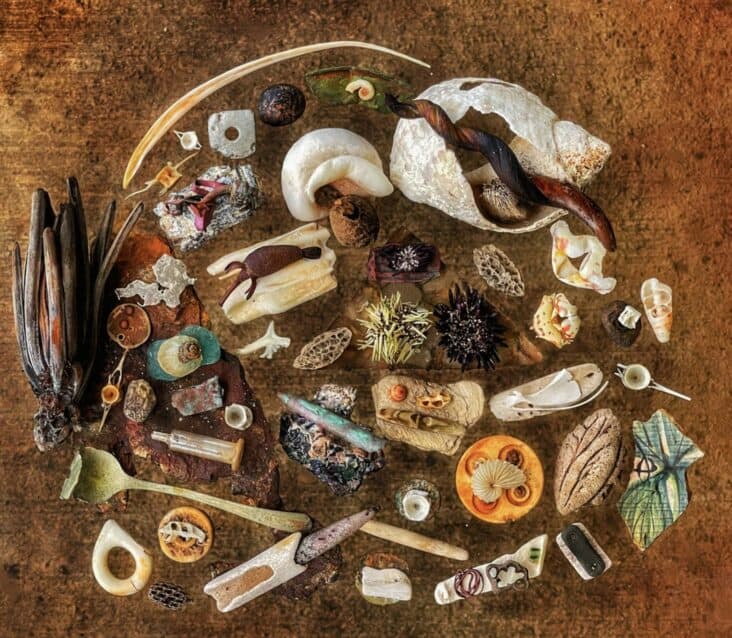 45 Quirky Collectors Share Their Unique And Bizarre Collections