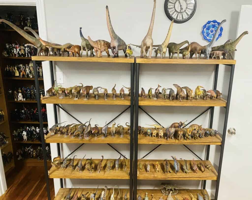 45 Quirky Collectors Share Their Unique And Bizarre Collections