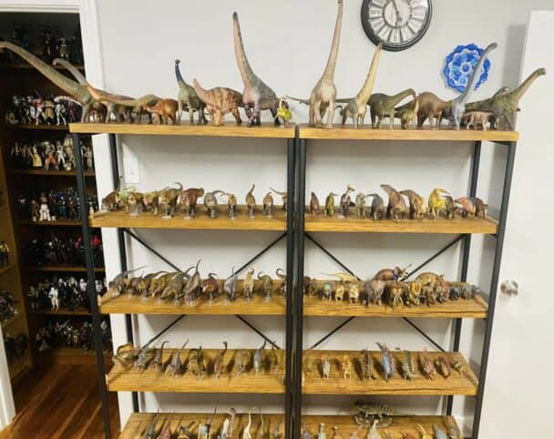 45 Quirky Collectors Share Their Unique And Bizarre Collections