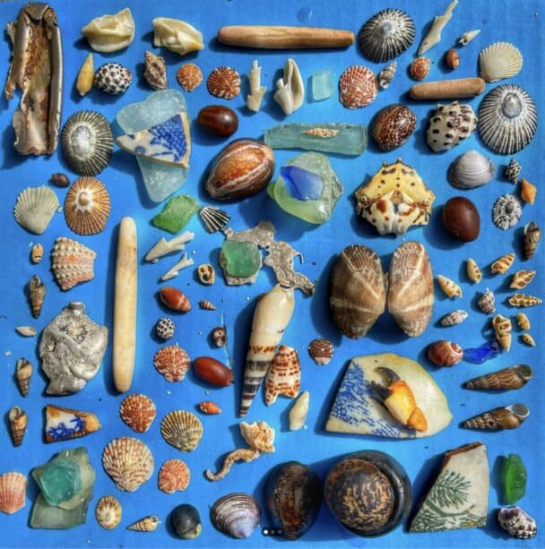 45 Quirky Collectors Share Their Unique And Bizarre Collections