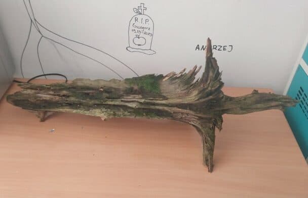 "Send Stick Pics" — 37 Dudes Who Found Cool Sticks And Really Want To ...