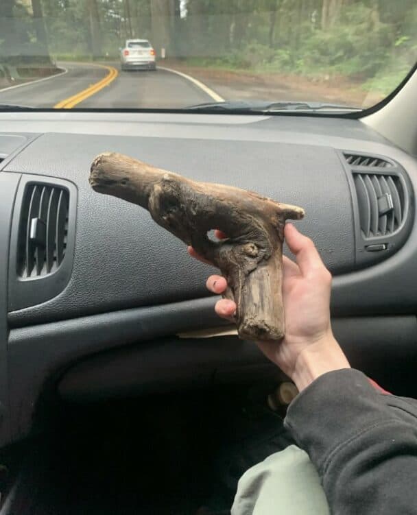 "Send Stick Pics" — 37 Dudes Who Found Cool Sticks And Really Want To ...