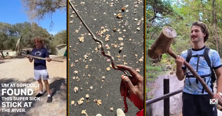 "Send Stick Pics" — 37 Dudes Who Found Cool Sticks And Really Want To ...