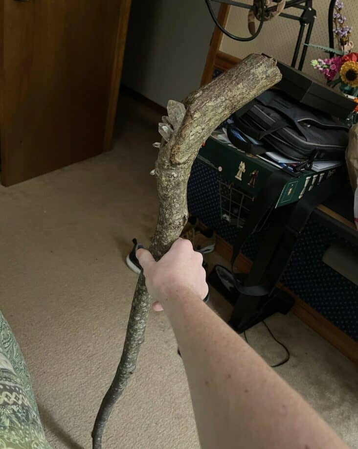 "Send Stick Pics" — 37 Dudes Who Found Cool Sticks And Really Want To ...