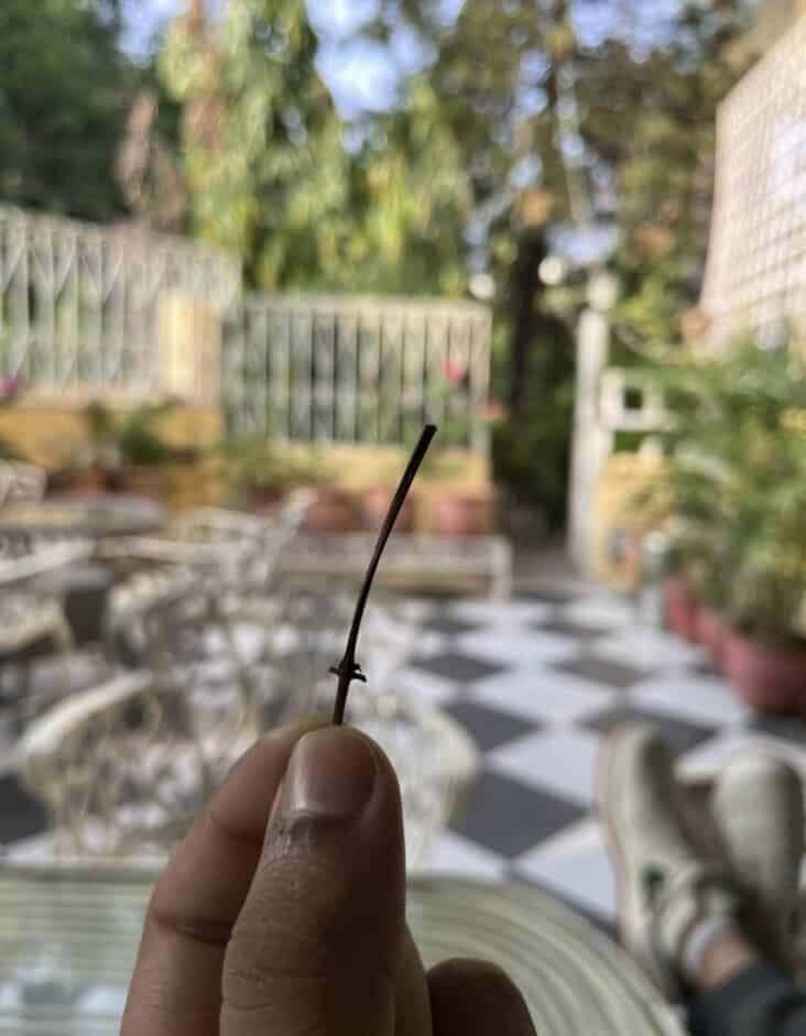 "Send Stick Pics" — 37 Dudes Who Found Cool Sticks And Really Want To ...