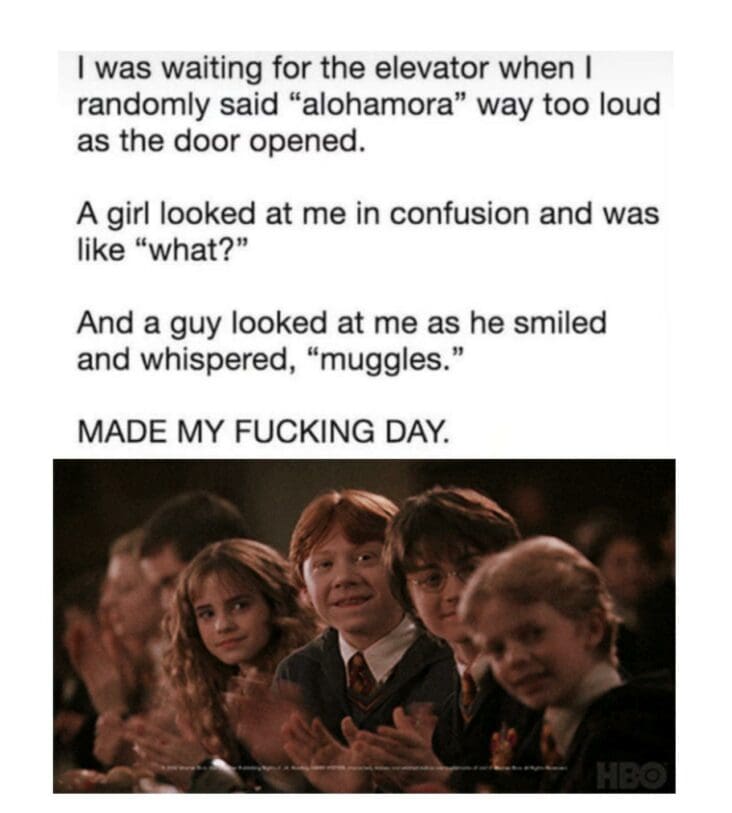 35 Funniest Harry Potter Memes Delivered By Owl This Week