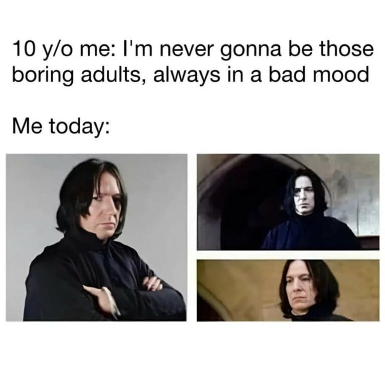 35 Funniest Harry Potter Memes Delivered By Owl This Week