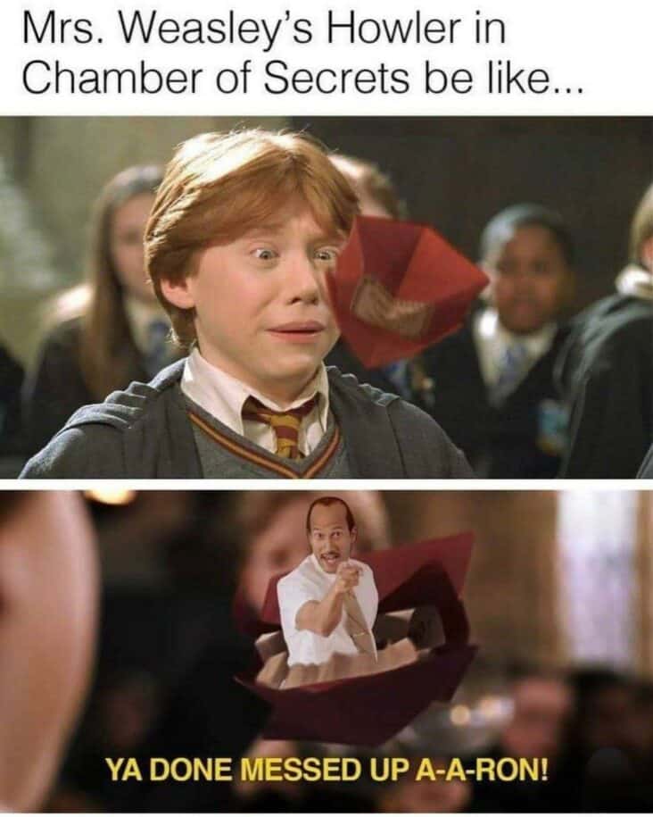 35 Funniest Harry Potter Memes Delivered By Owl This Week