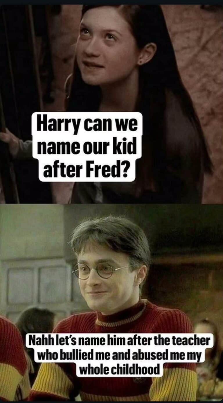 32 Funniest Harry Potter Memes Delivered By Owl This Week