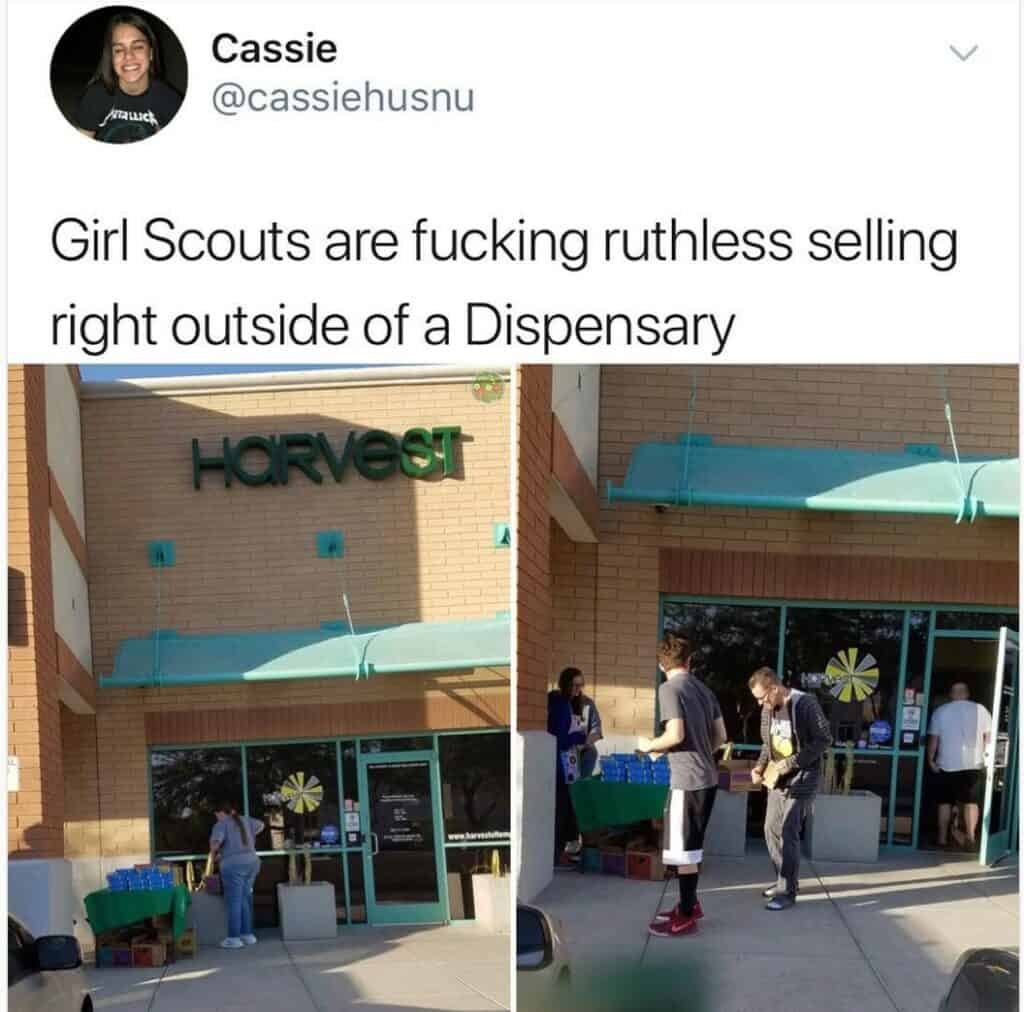 30 Funniest Memes That Make Everything Better Today (November 19, 2024)