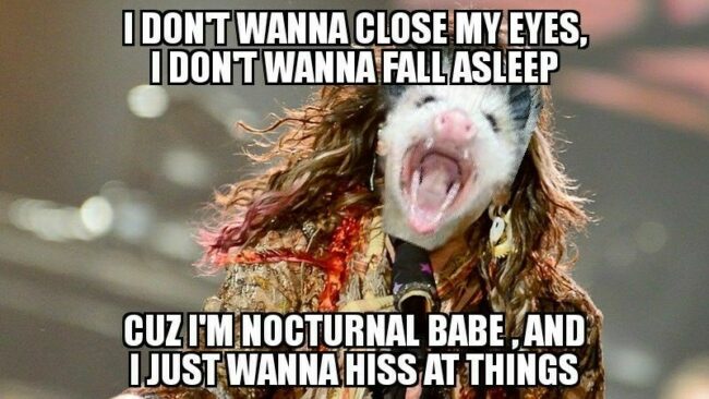 45 Funny Music Memes That Hit All The Right Notes